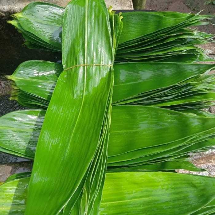 100 lembar daun bambu untuk bungkus bacang | Lazada Indonesia
