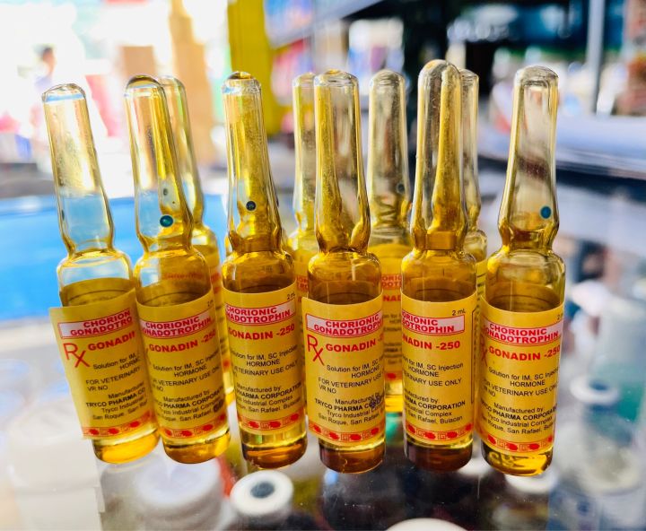GONADIN 250 2ML Ampule Paglalandi ng dogs cats kambing babo atbp ...