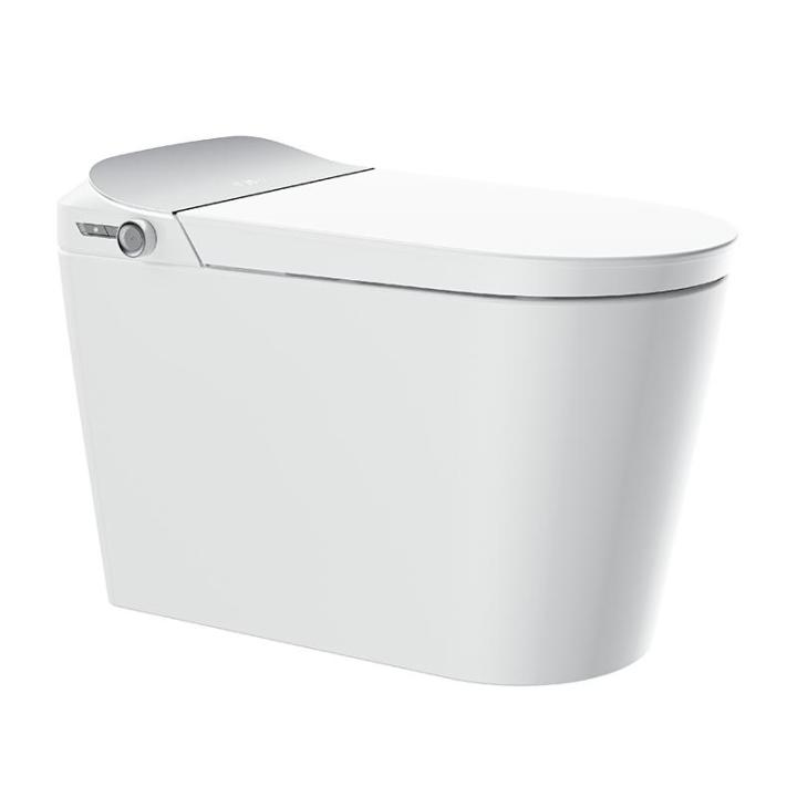 HOROW | Automatic Intelligent Toilet with Electrolyzed Water ...