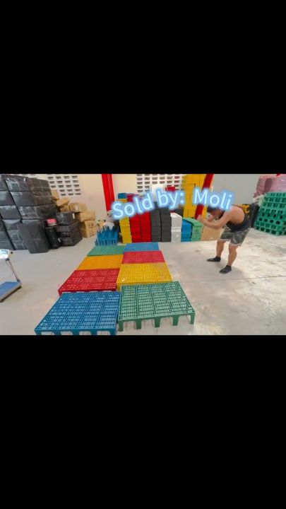 Pearlstar HEAVY DUTY Elevated Plastic Matting Dog or any Purposes ...
