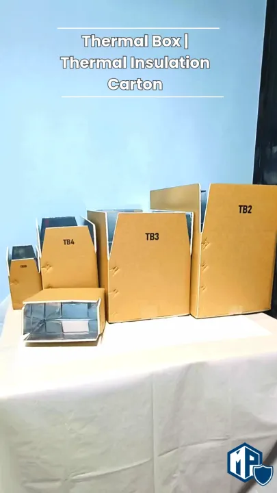 Thermal Box | Food Warmer Container | Carton Box | Delivery Box ...