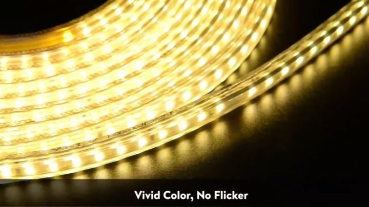 (Warranty)LAIMA LED Strip Lights LED Cuttable Rope Lights Outdoor IP65 ...