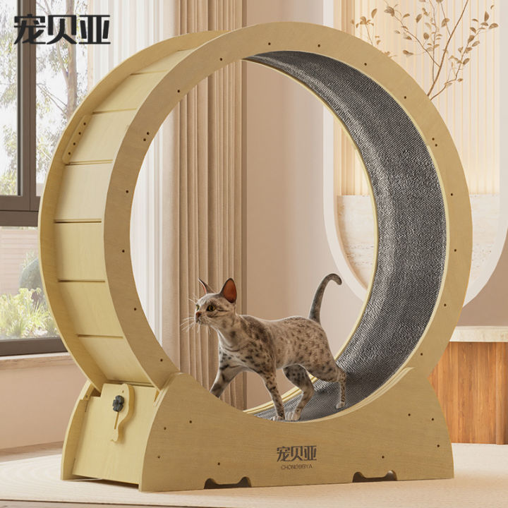 Pet Beiya Wooden Running Wheel for Cats Silent Fitness Exercise Toy Cat ...