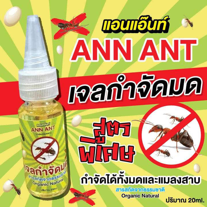 แอนแอ๊นท์ เจลกำจัดมด แมลงสาบ Ann Ant ปริมาณ20ml. | Lazada.co.th