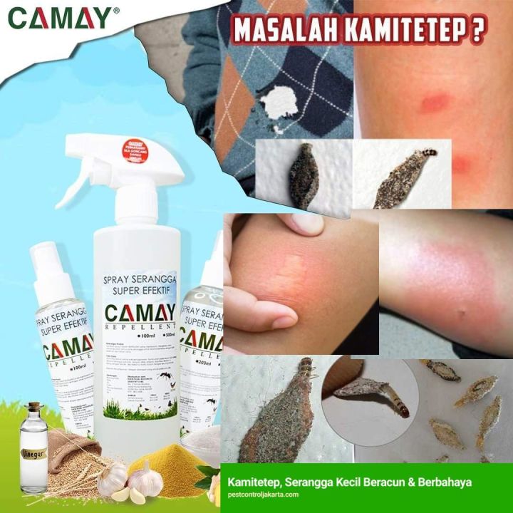 SPRAY SERANGGA BASMI KAMITETEP, CHARLIE, ANAI-ANAI PLASTER BAGWORM ...