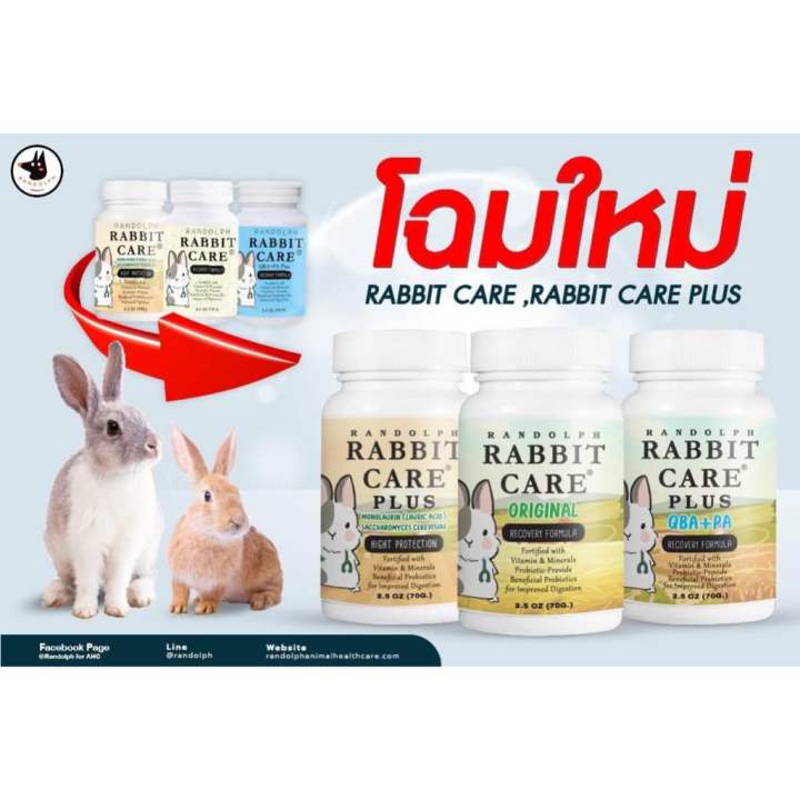 Randolph Rabbit Care อาหารฟื้นฟูสำหรับกระต่ายป่วย (3สูตร/70G) | Lazada ...