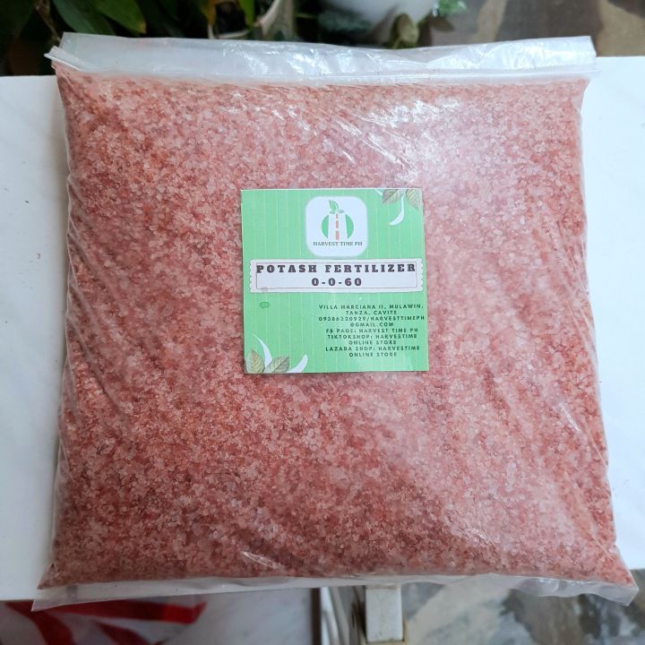 0-0-60 POTASH FERTILIZER (1KG -2KG) | Lazada PH