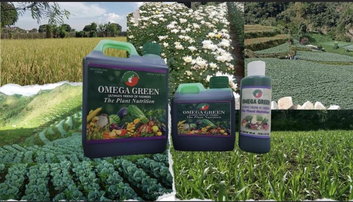 OMEGA GREEN(1 liter) | Lazada PH