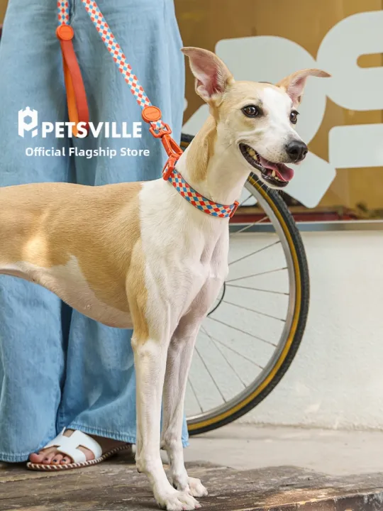 PETSVILLE | ชุดสายจูงและสร้อยคอสุนัขกันน้ำสไตล์เรโทรสำหรับสุนัขขนาดเล็ก ...