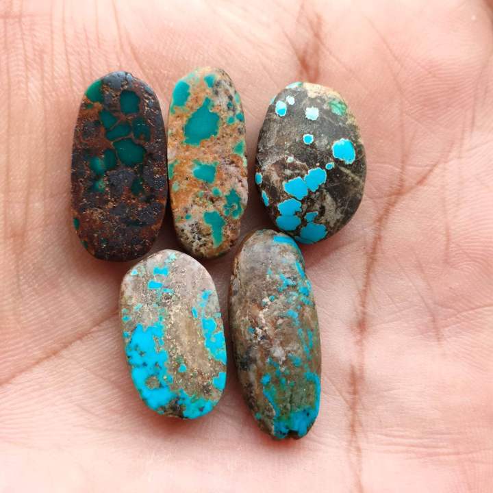 Natural pirus Persia | Lazada Indonesia