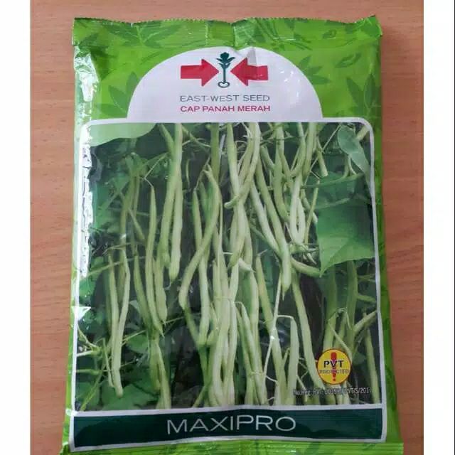 Benih Bibit Buncis Biji Hitam MAXIPRO Isi 500gr | Lazada Indonesia
