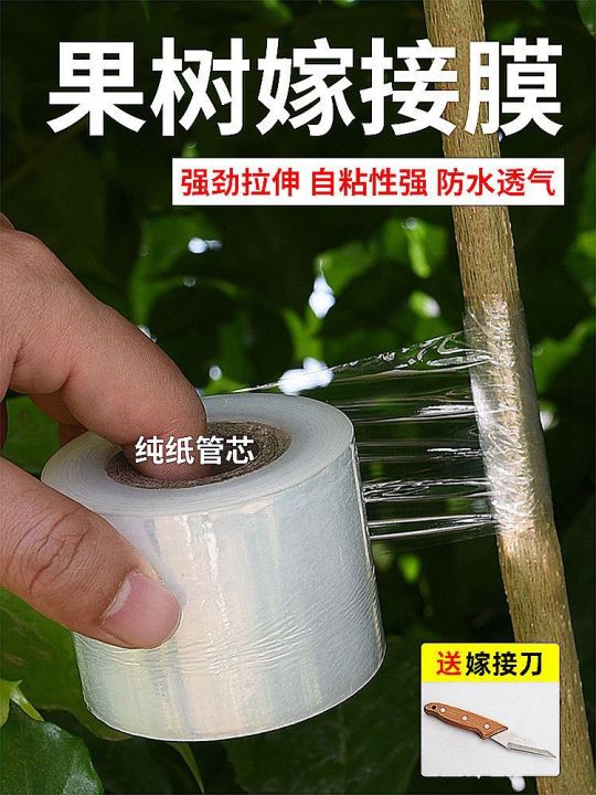 Full Set Self-Adhesive Fruit Tree Grafting Tools Garden Plastic Film ...