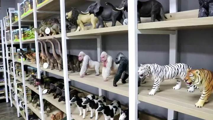 Simulation Solid Wild Animal Model Set Medium Camel Hippo Wolf Elephant ...