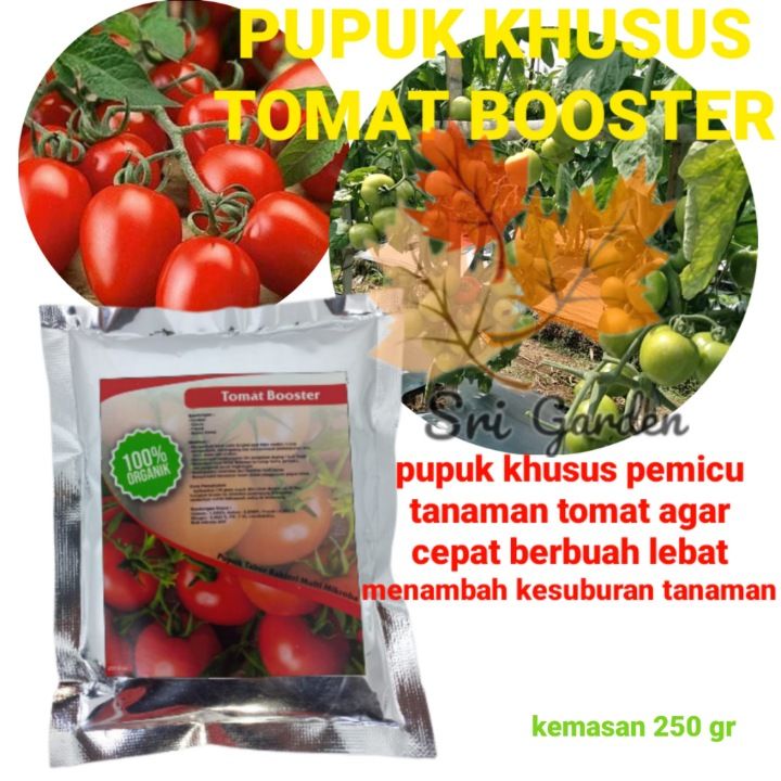 Pupuk organik tomat booster agar cepat berbuah lebat menambah kesuburan tanaman pupuk cocok ...