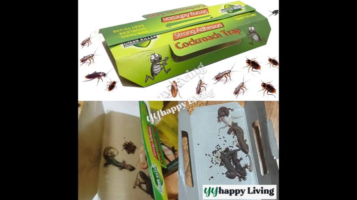 [SG Seller]10 Traps (1BOX) *Lizard Trap & Cockroach Trap* with baits ...