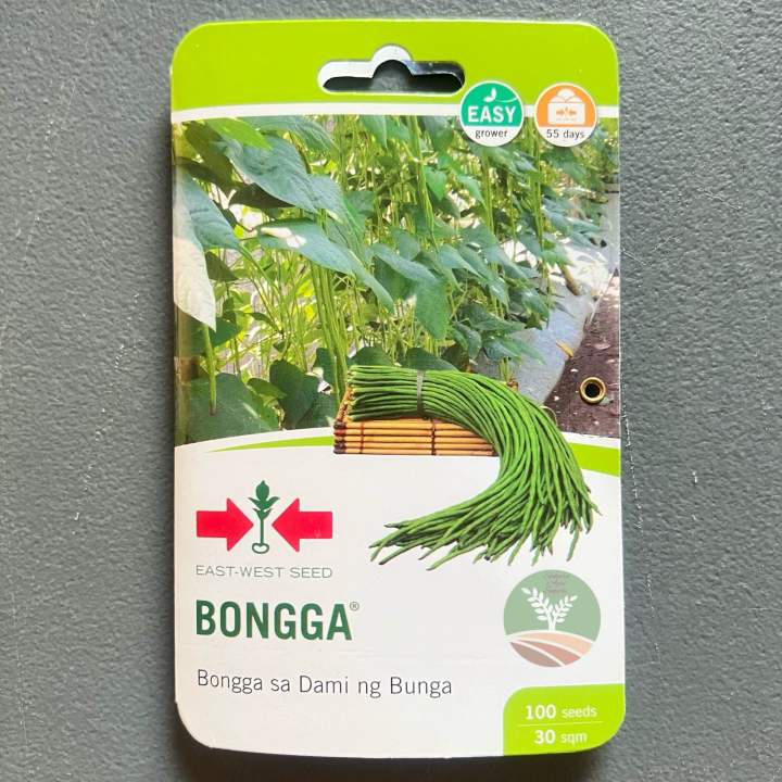 BONGGA SITAW SEEDS EAST WEST SITAO VEGETABLE GARDENING SEEDS SMALL PACK ...