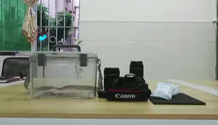 Moisture-Proof Cabinet SLR Digital Desiccant Electronic Equipment ...
