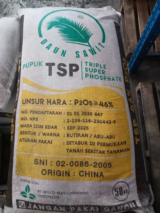 PUPUK TSP DAUN SAWIT KEMASAN 50KG ORIGINAL PABRIK | Lazada Indonesia