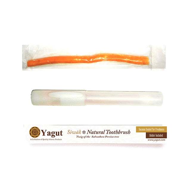 Siwak / Miswak Stick: Twig of Salvadora persica tree (arak tree ...