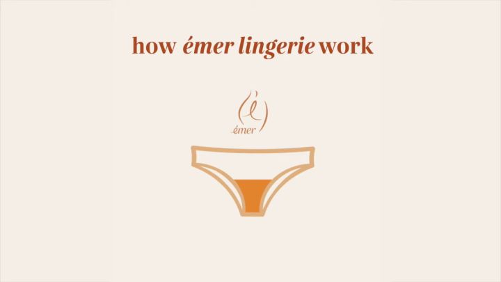 Emer Merla The Swimsuit Menstrual Underwear Period Swimsuit (Day Use ...