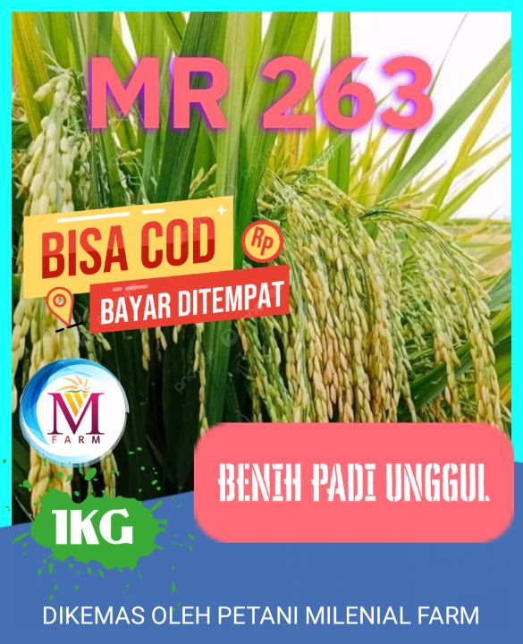 Benih padi mr 263 kemasan 1kg | Lazada Indonesia