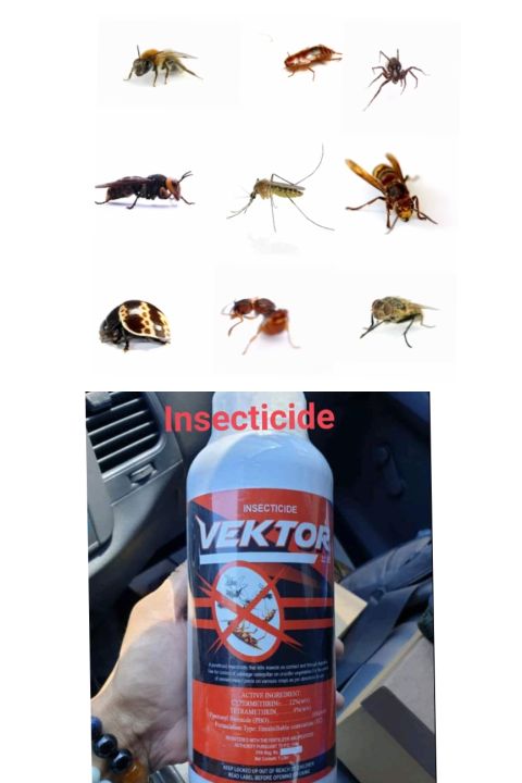 Vektor Insecticide 1liter pest control | Lazada PH