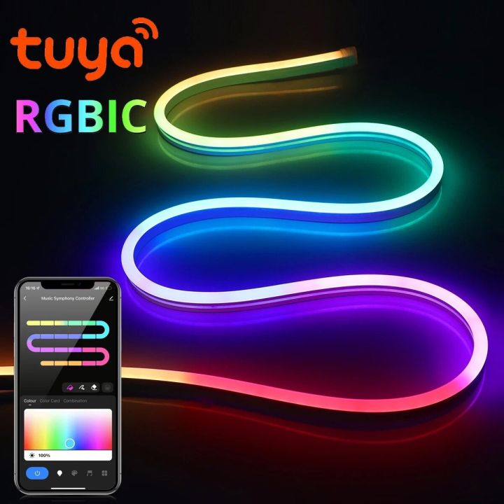 RGBICNeon Strip Light WiFi Tuya Smart Lamp LED Smart Life Alexa 24V LED ...