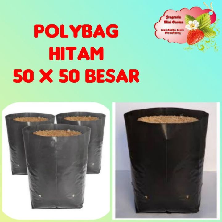 polybag hitam 50x50 | Lazada Indonesia