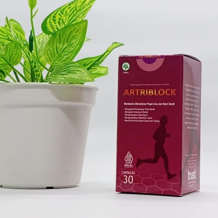 Artiblok - Herbal Asli Obat Tulang Sendi Obat Untuk Persendian Tubuh ...