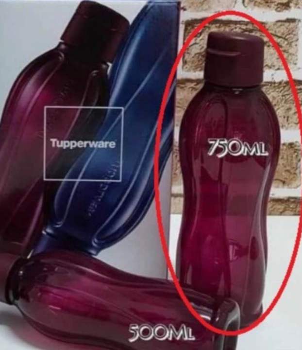 Tupperware Eco bottle 750ml & stand (limited edition stock) | Lazada