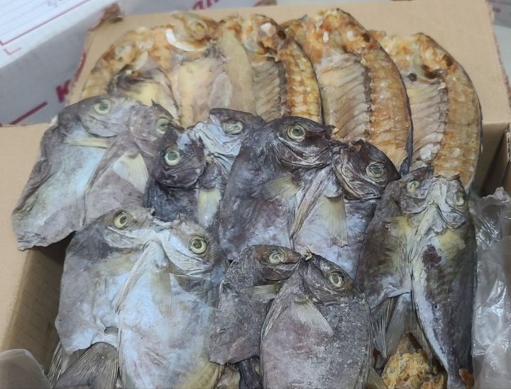 Dried Fish Danggit with Bone 1kg Palawan | Lazada PH