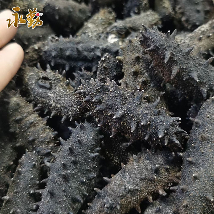 Dalian Dried Sea cucumber 50g sea cucumber origin factory processing ...