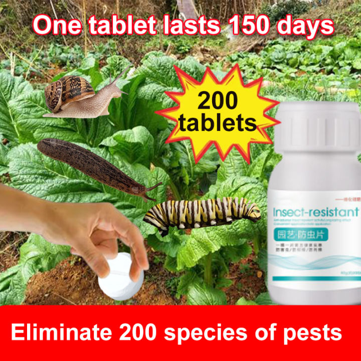 🌱Kills all types of plant pests🌱Racun serangga tanaman Pesticides for ...