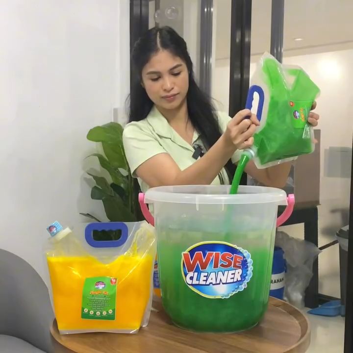 PREMIUM MAGIC DISHWASHING LIQUID DIY KIT - WISE CLEANER | Lazada PH