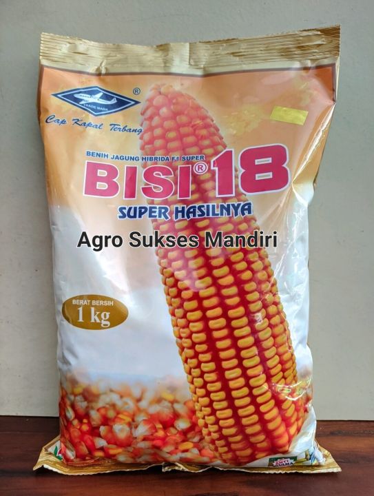 Benih Jagung Bisi 18/Benih Jagung Hibrida Bisi 18 1kg/Bibit Jagung Bisi ... Benih Jagung Bisi 18/Benih Jagung Hibrida Bisi 18 1kg/Bibit Jagung Bisi ...