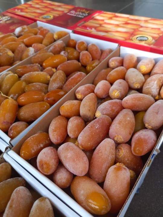 PROMO Kurma Muda Kurma Ruthob 1kg | Lazada Indonesia