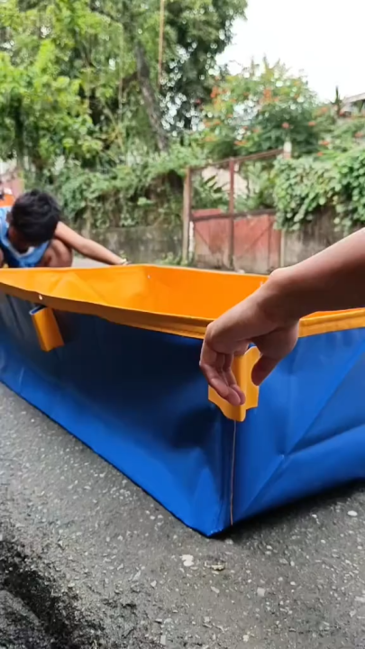 4X2X1 Feet PVC TYPE AZOLLA POND/ BED FISH TANKS LONA TRAPAL TOLDA ...