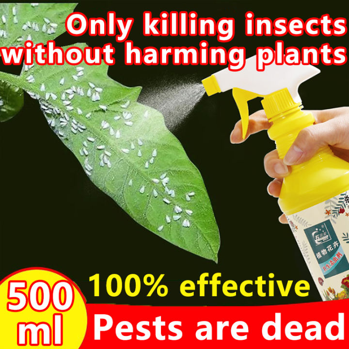 🌻All the pests are dead🐛Plant insecticide spray 500ml No harm to plants ...