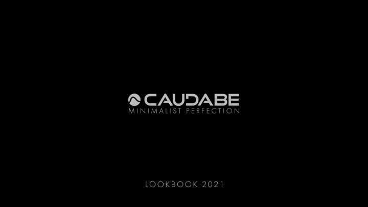 [ iPhone 15 Pro Max / Pro ] NEW VERSION Caudabe Synthesis MagSafe ...