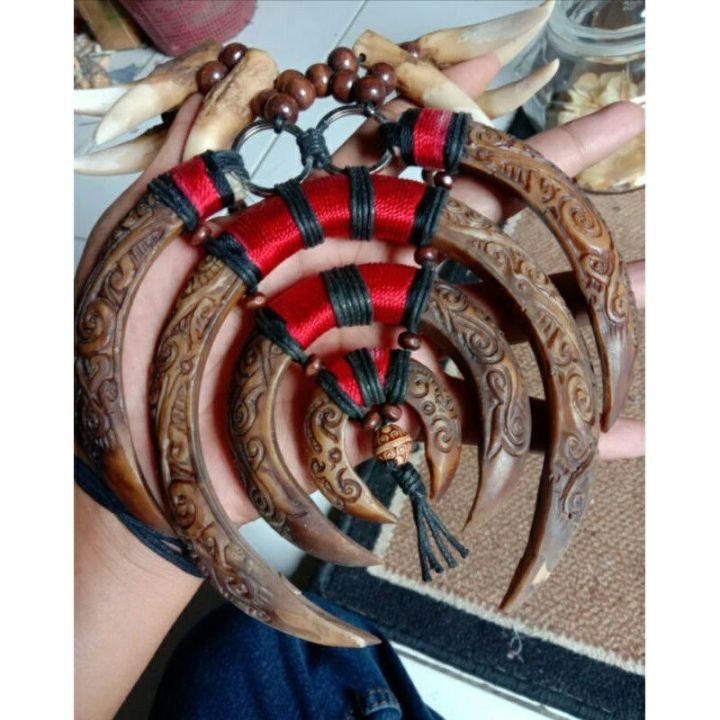 kalung taring babi khas dayak | Lazada Indonesia