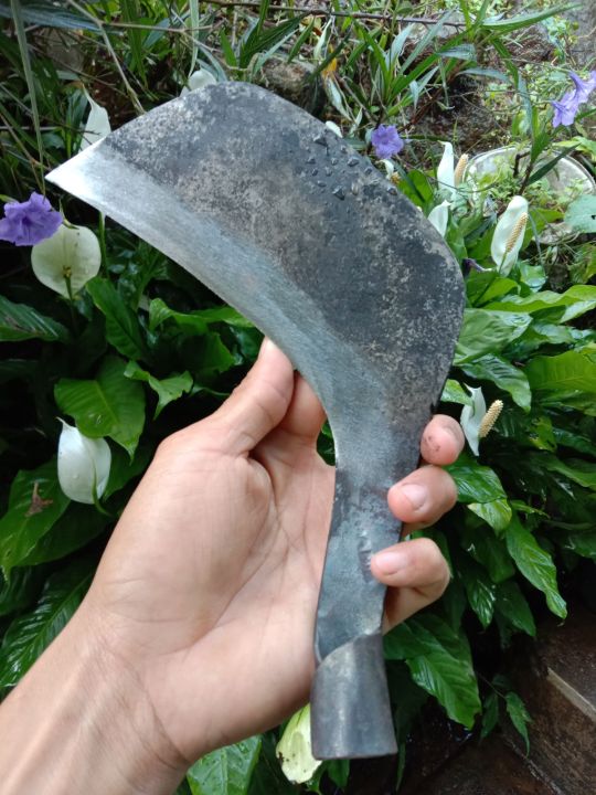 ARIT ASLI BAJA parang TAJAM ARIT KUAT per baja arit rumput | Lazada ...