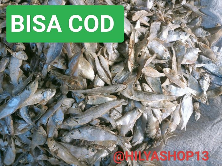 IKAN ASIN CAMPURAN MIX RUCAH/ IKAN ASIN TEMBANG ORIGINAL 1KG | Lazada ...