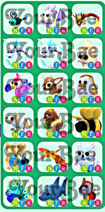 (PART 2) Roblox Adopt Me Pets Game Card | Lazada PH