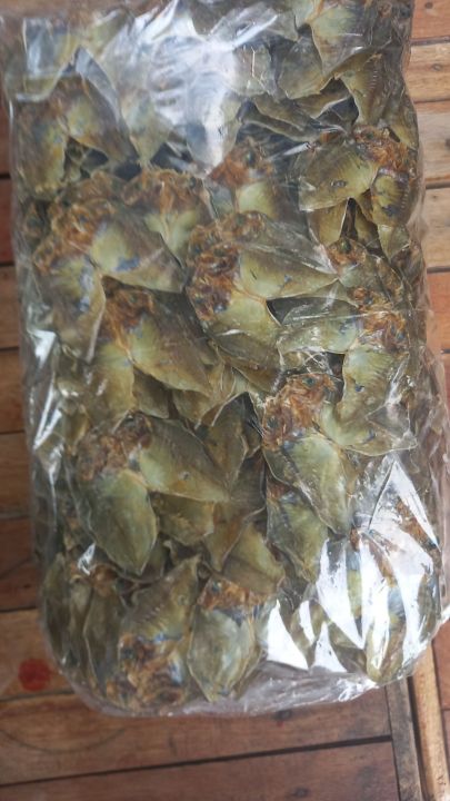 Bantayan Cebu Premium Unsalted Boneless Dried Danggit 500g | Lazada PH