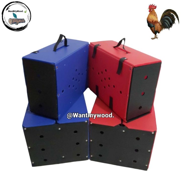 Plastic Derby Box Collapsible - Single|Double | Lazada PH