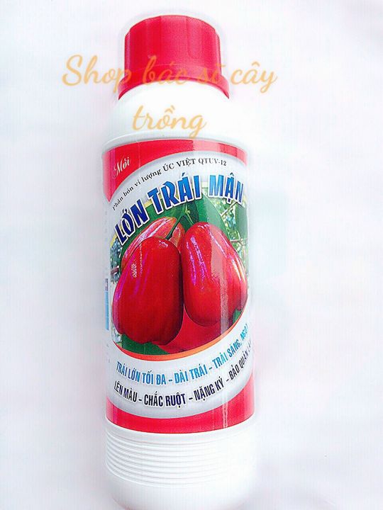 Phân bón lá Lớn Trái Mận Nhanh, Bóng Trái, Lên Màu Đẹp Đặc Trưng Của ...