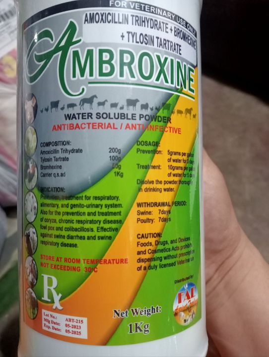 AMBROXINE (antibacterial / anti- infective) | Lazada PH