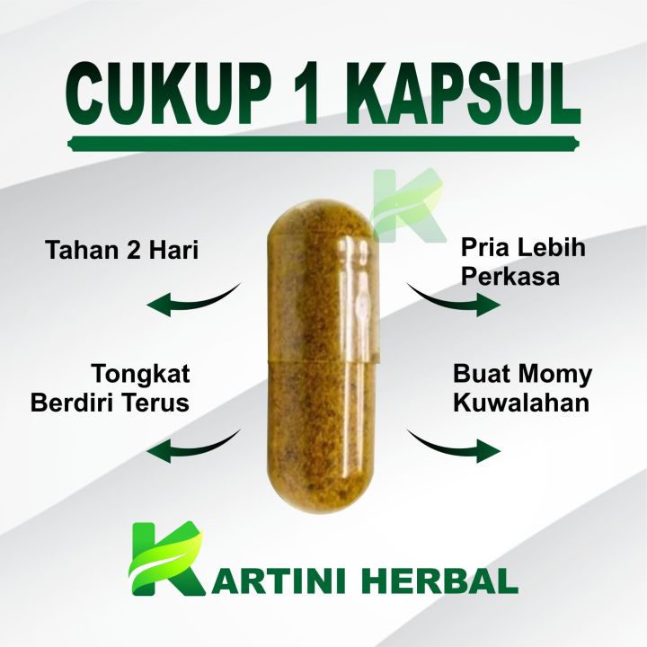 Jamu Kuat Tongkat Perkasa/ 1 Kapsul Tempur | Lazada Indonesia