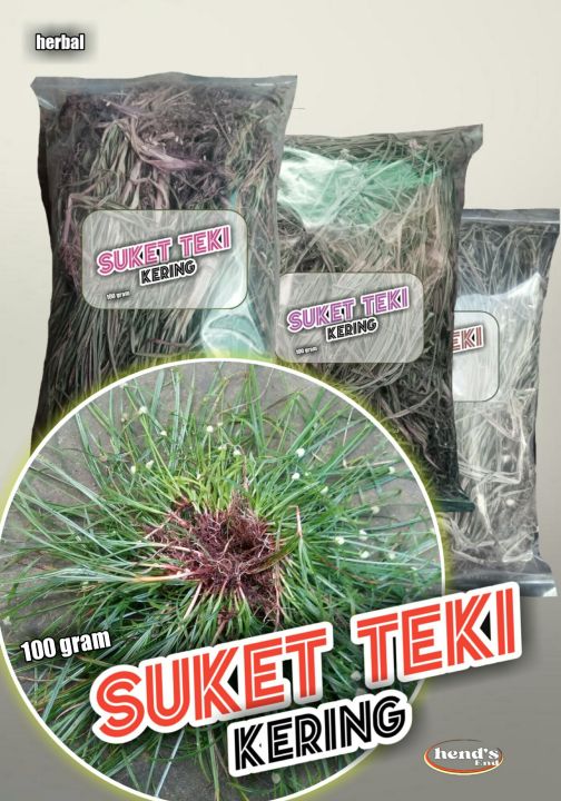 Suket/Rumput Teki Kering. (100 gram) | Lazada Indonesia