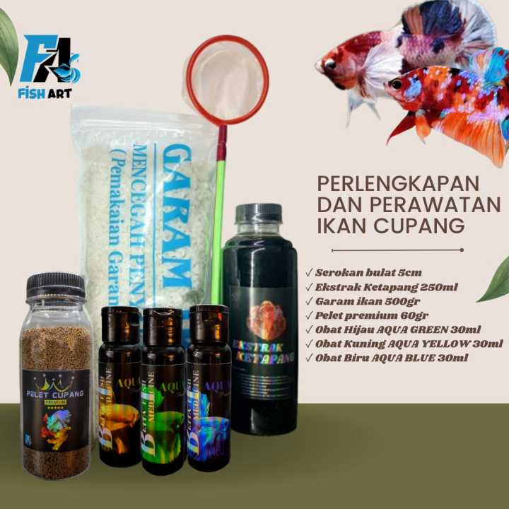 PAKET LENGKAP PERAWATAN IKAN CUPANG & IKAN HIAS | Lazada Indonesia